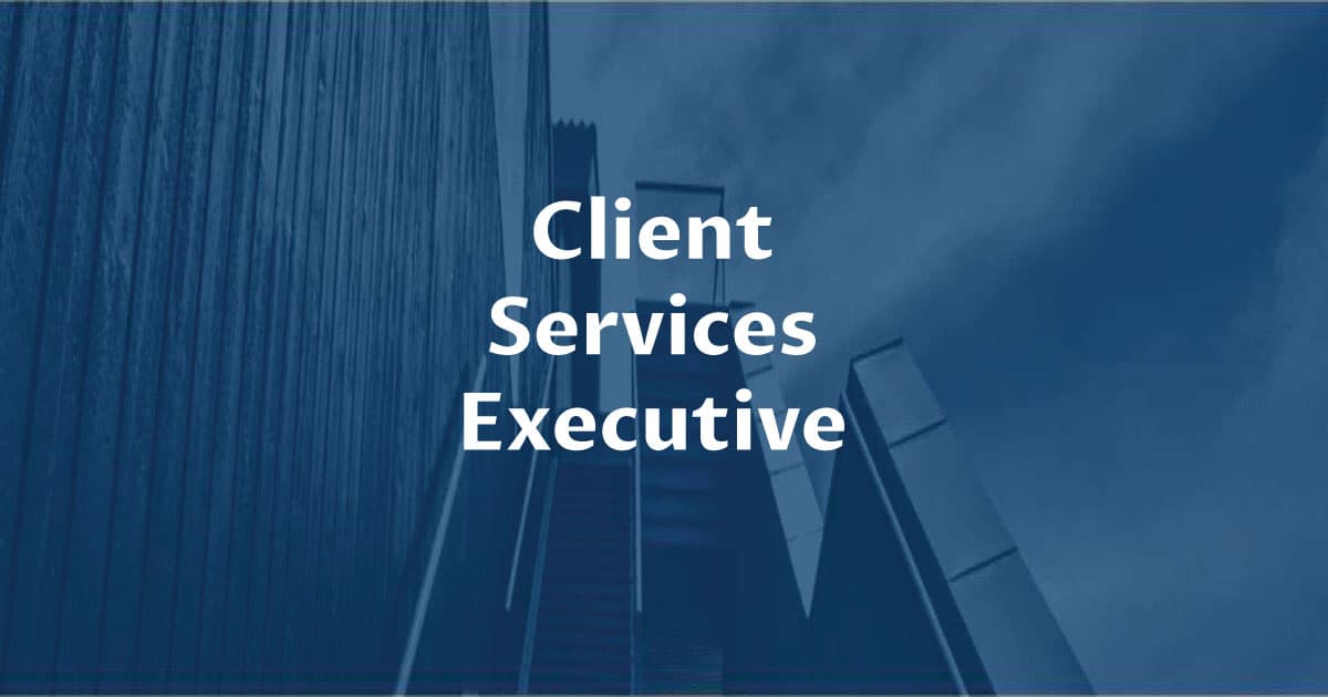 Client Services Executive - Damo Consulting